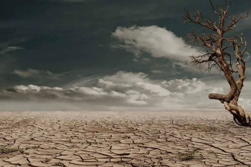 Desertification-definition-causes-effects-solutions | Environment Buddy