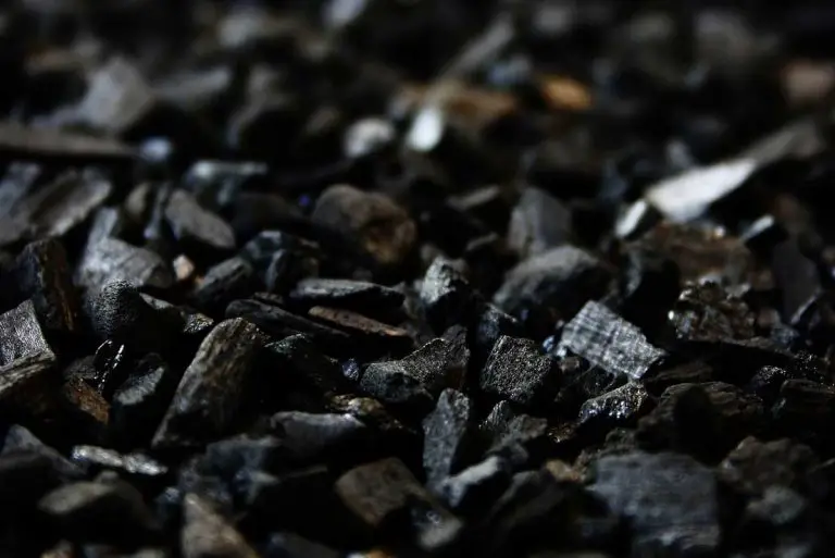 21 Renewable and Non-Renewable Examples | Environment Buddy