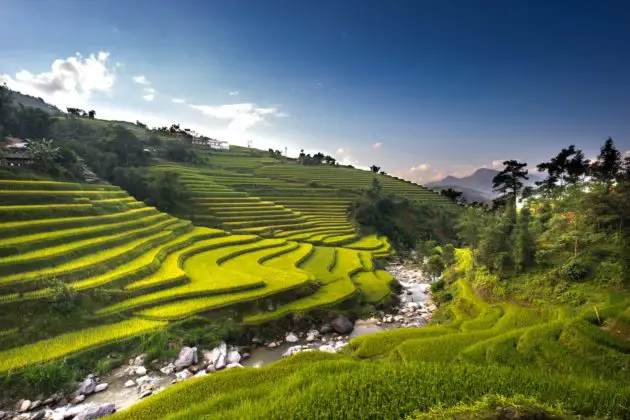 Best Solutions to Control Soil Erosion | Environment Buddy