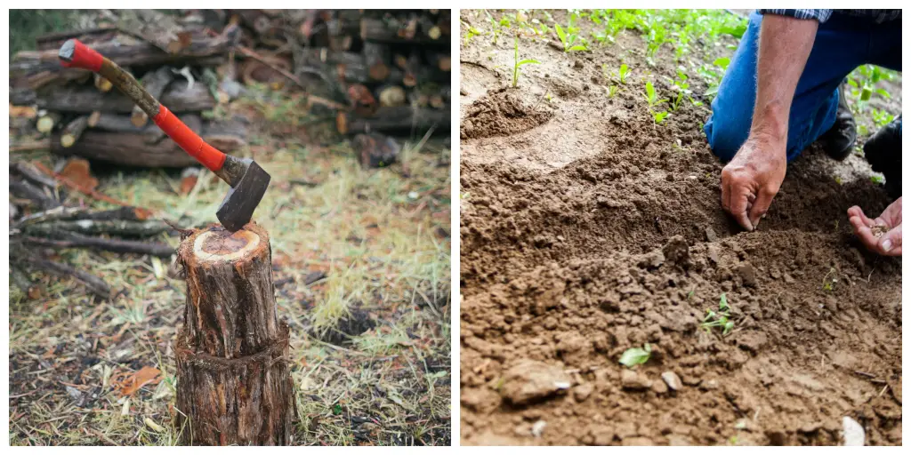 Afforestation And Deforestation Models