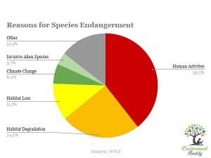 13 Reasons for Endangerment of Species | Environment Buddy