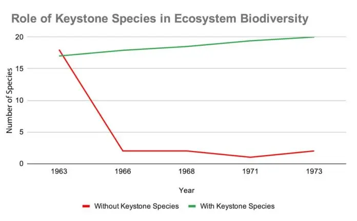 17 Keystone Species Examples [Names, Photos and Importance]
