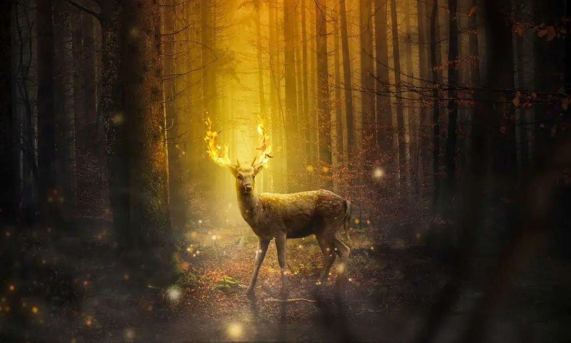 Forest fires: Causes, Effects, Solutions | Environment Buddy