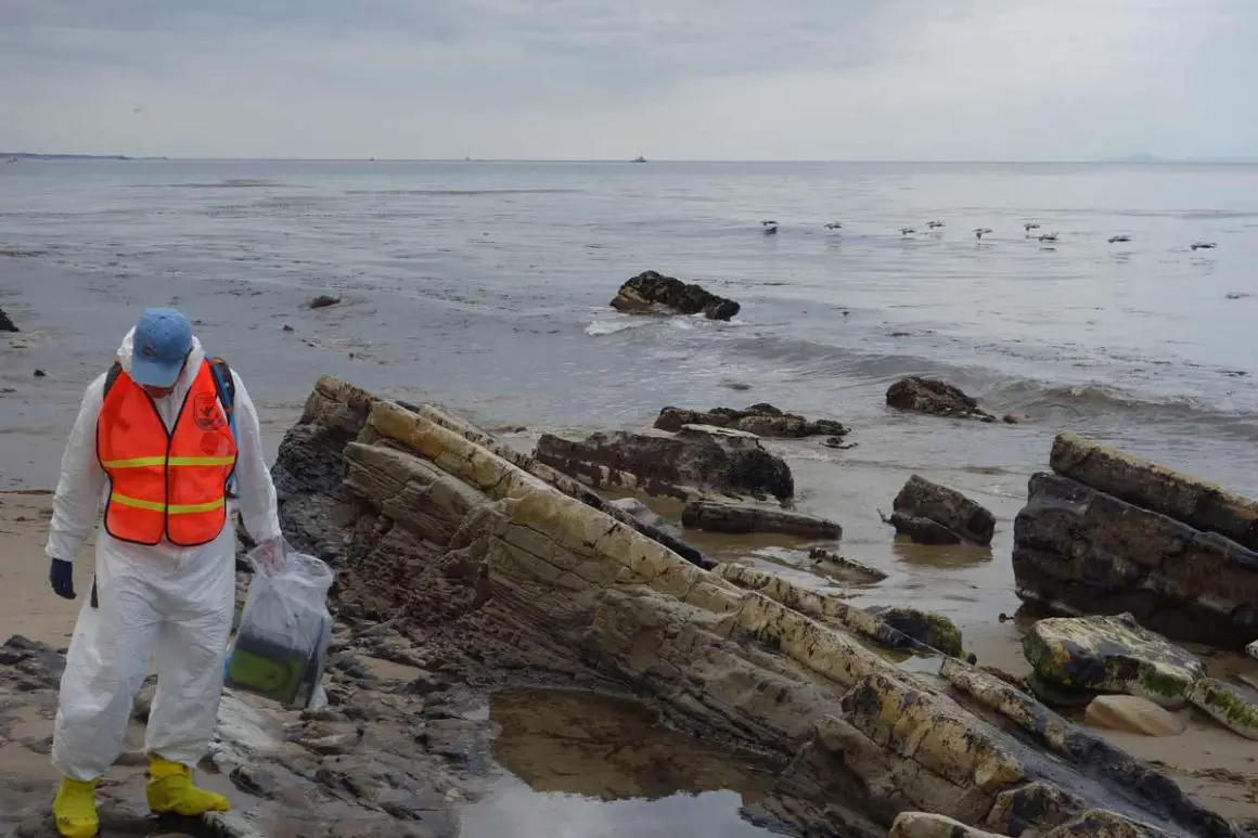 Oil Spills; Causes, Effects, Solutions | Environment Buddy