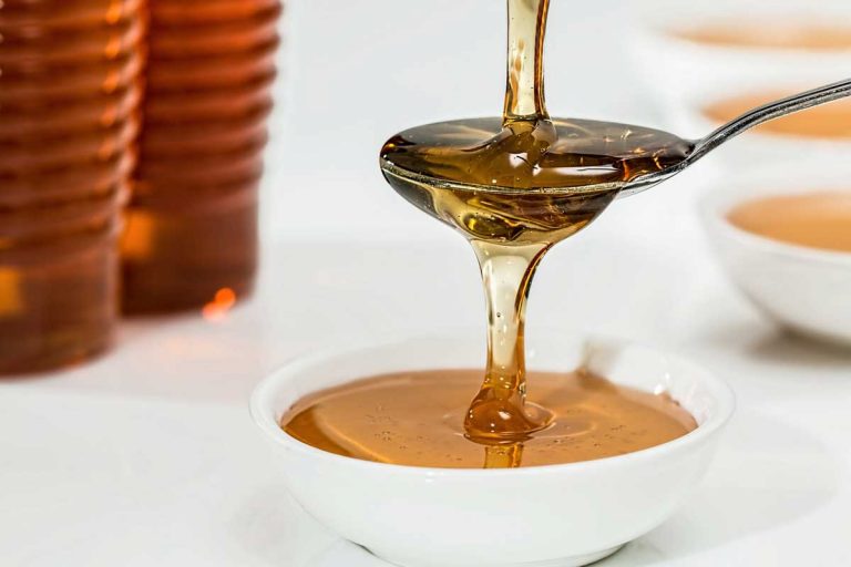 17 Best Forest Products and their Uses | Environment Buddy