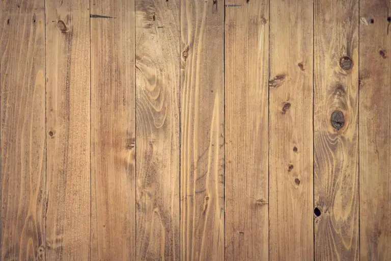 17 Best Forest Products and their Uses | Environment Buddy