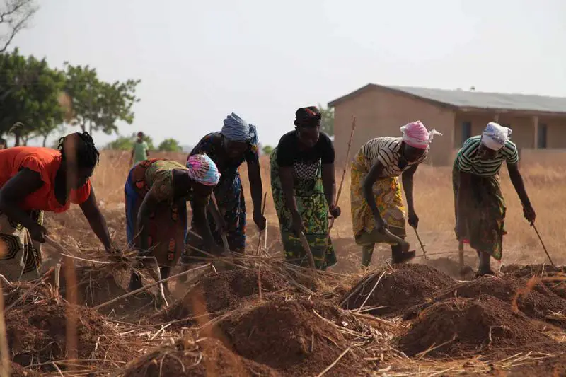 Agroecology; Benefits, Principles, Levels | Environment Buddy