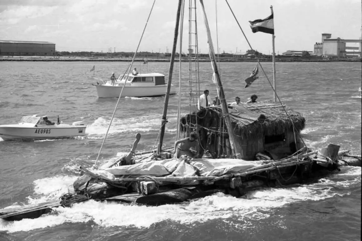 Balsa Wood; Features, Uses, Glider DIY kit | Environment Buddy