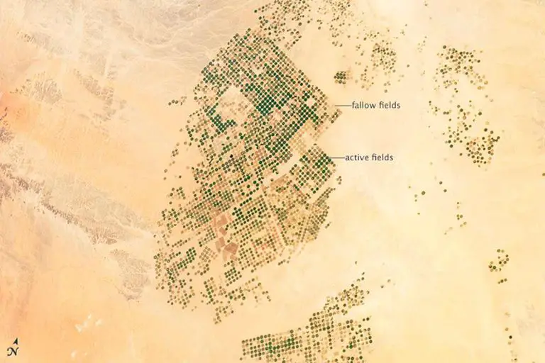 Overcultivation Causes, Effects, Solutions | Environment Buddy