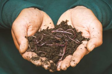 24 Soil Conservation Methods, Practices | Environment Buddy