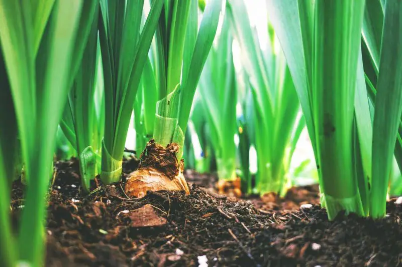 24 Soil Conservation Methods, Practices | Environment Buddy