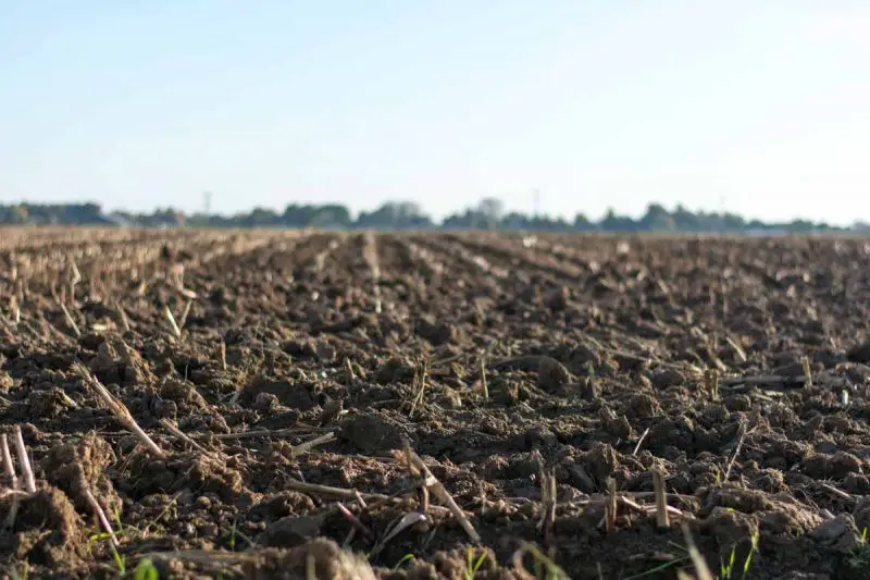Over cultivation Causes, Effects, Solutions | Environment Buddy