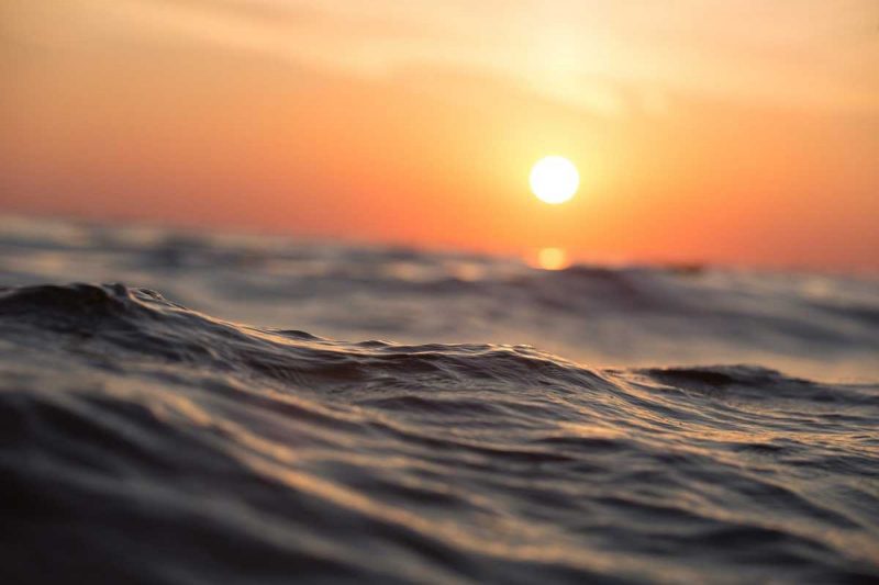 What is an Ecosystem? Types, Examples and Importance