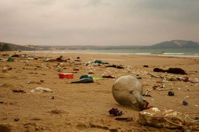 15+ Pros and Cons of Waste Incineration | Environment Buddy