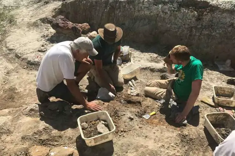 Figuring out Names of Dinosaurs: How do scientists name them?