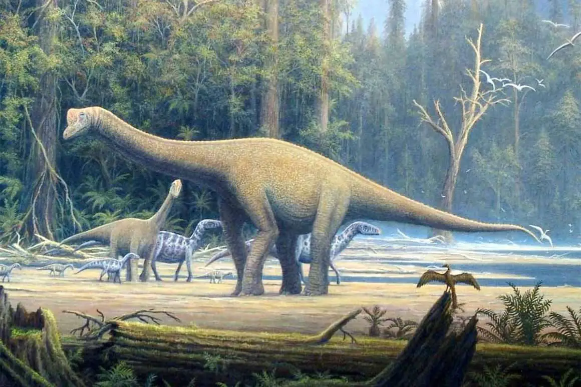 10 Major Types of Dinosaurs you should know about! | Environment Buddy