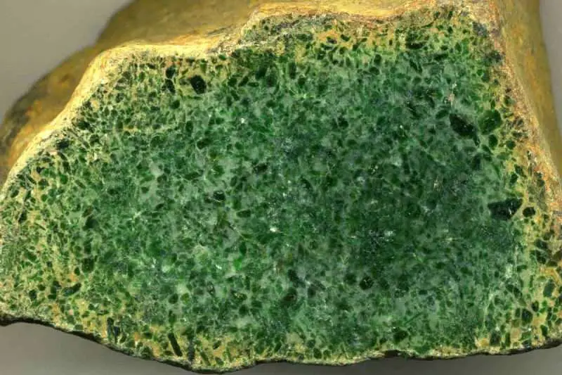 Jadeite | Environment Buddy