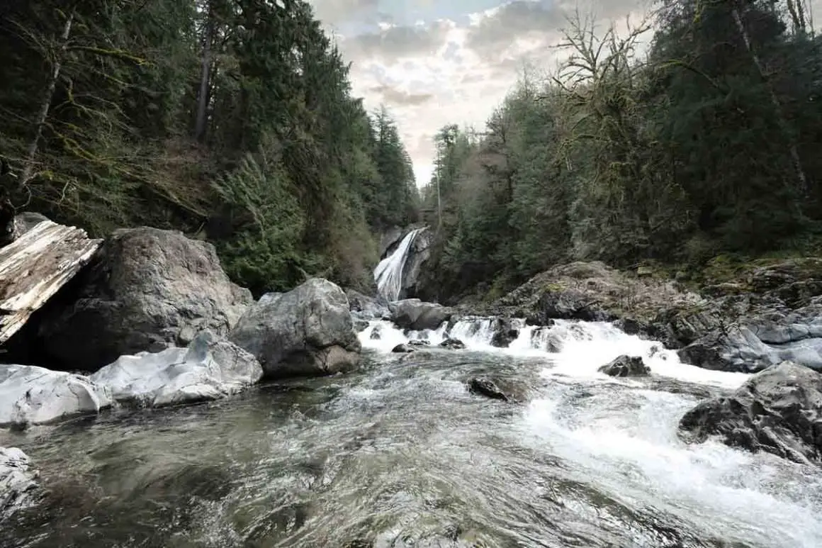 8 Major Types of Streams Found on Earth | Environment Buddy