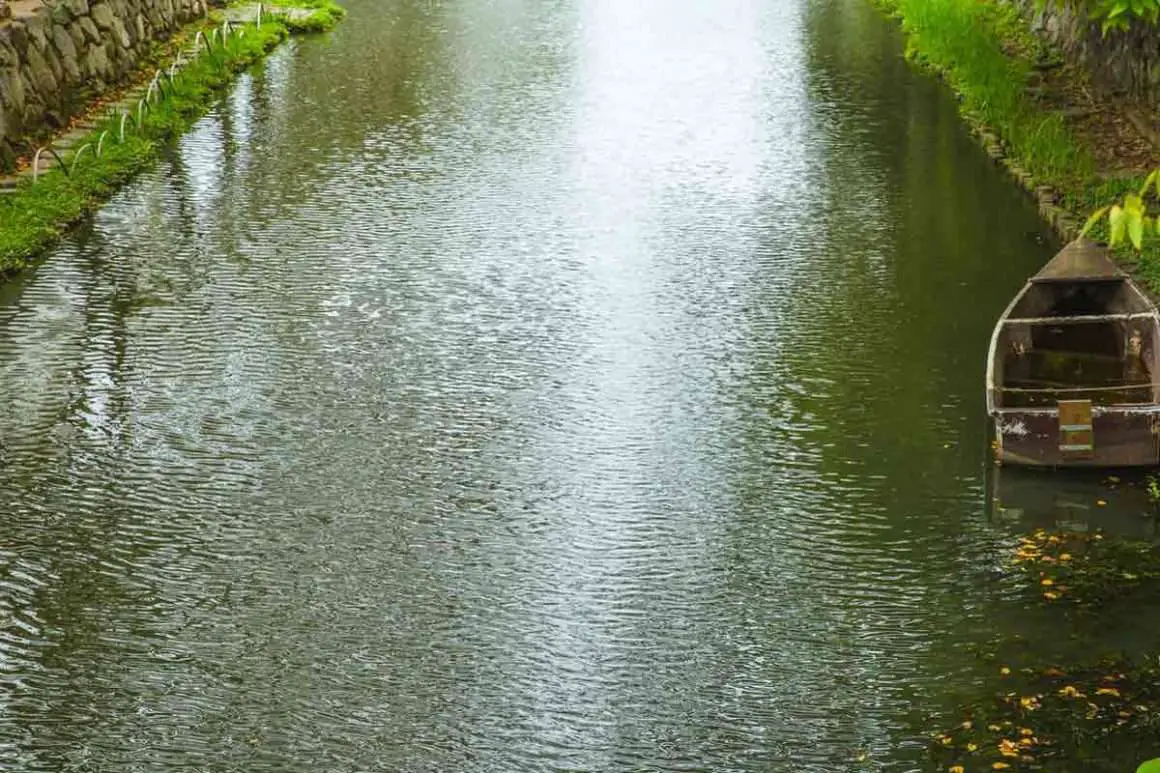 8 Major Types of Streams Found on Earth | Environment Buddy