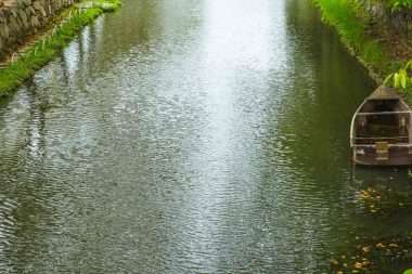 8 Major Types of Streams Found on Earth | Environment Buddy