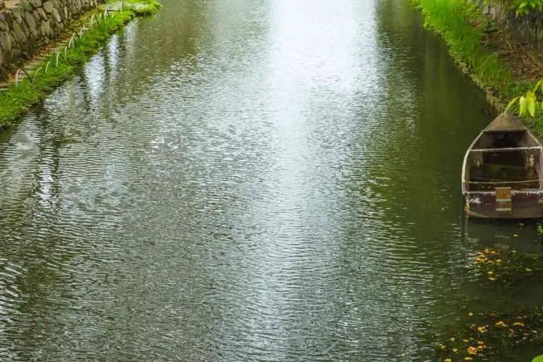 8 Major Types of Streams Found on Earth | Environment Buddy