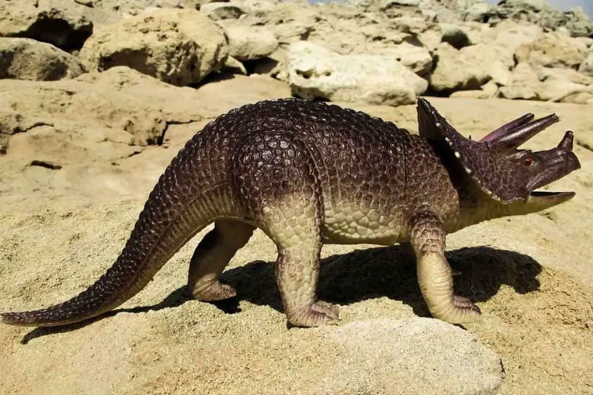 10 Major Types of Dinosaurs you should know about! | Environment Buddy