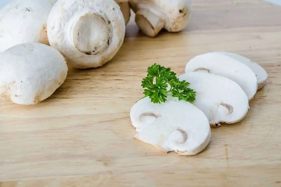 28 Incredible Types of Mushrooms: The Ultimate Guide