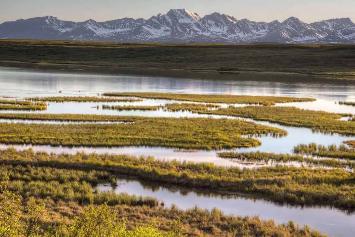 8 Major Types of Streams Found on Earth | Environment Buddy