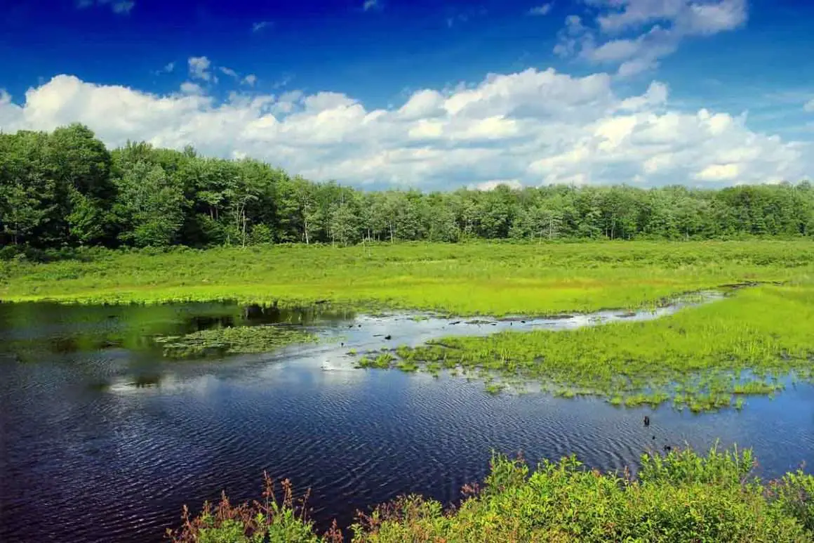 What is a Watershed and Why are Watersheds Important?