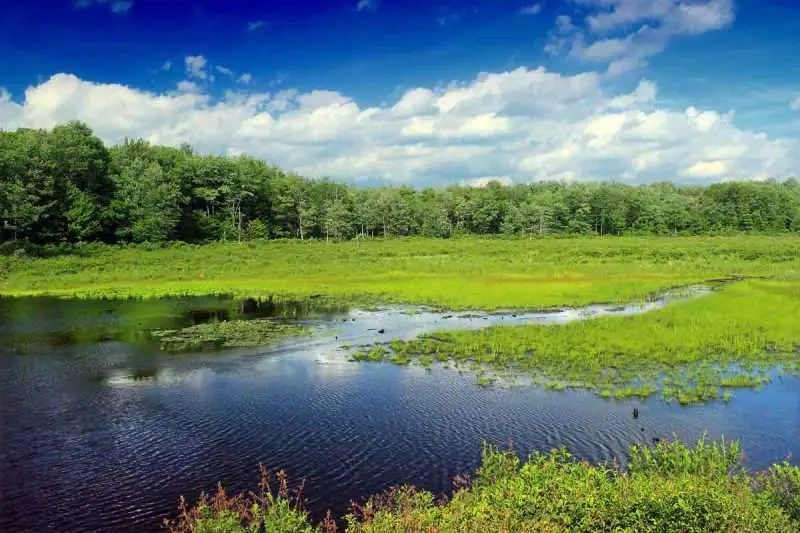 What is a Watershed and Why are Watersheds Important?