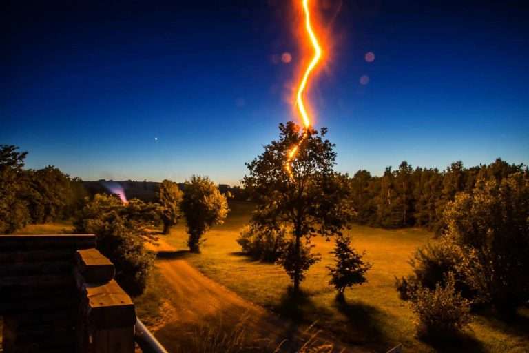 Lightning-hits-Tree | Environment Buddy