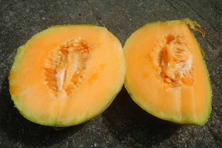 15 Unique Types of Melons! Sweet vs Bitter and Photos