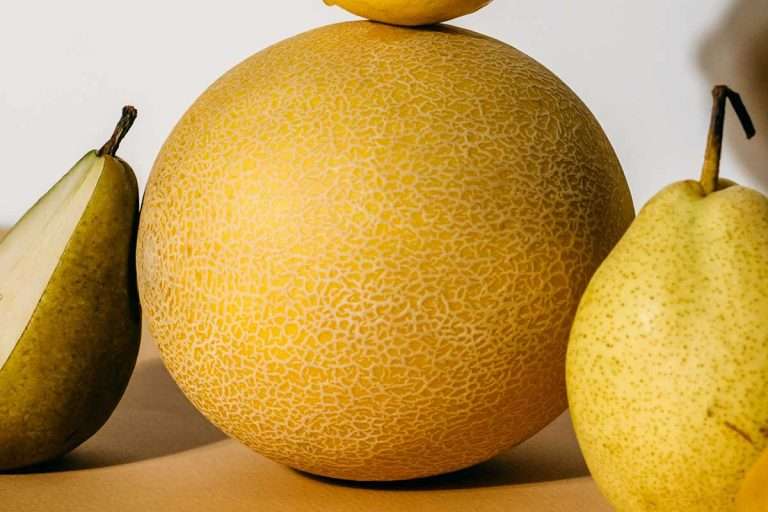 15 Unique Types of Melons! Sweet vs Bitter and Photos