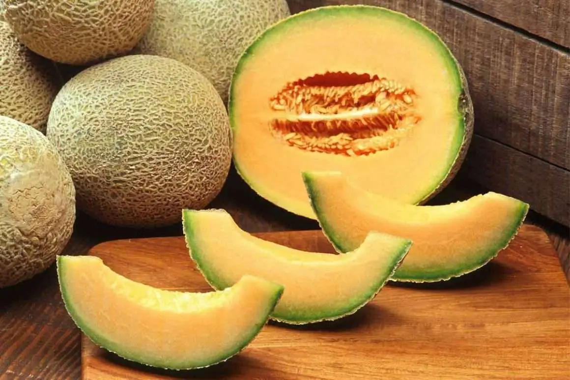 15 Unique Types of Melons! Sweet vs Bitter and Photos
