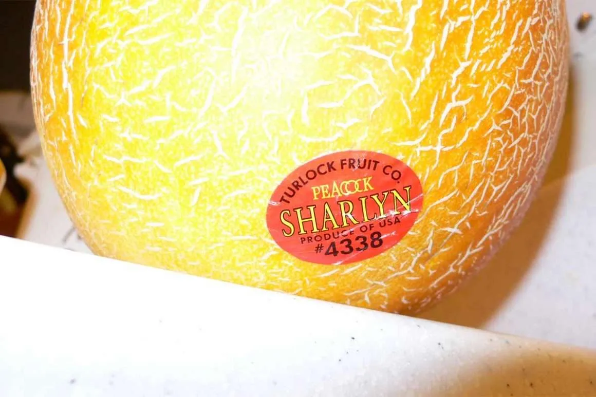 15 Unique Types of Melons! Sweet vs Bitter and Photos