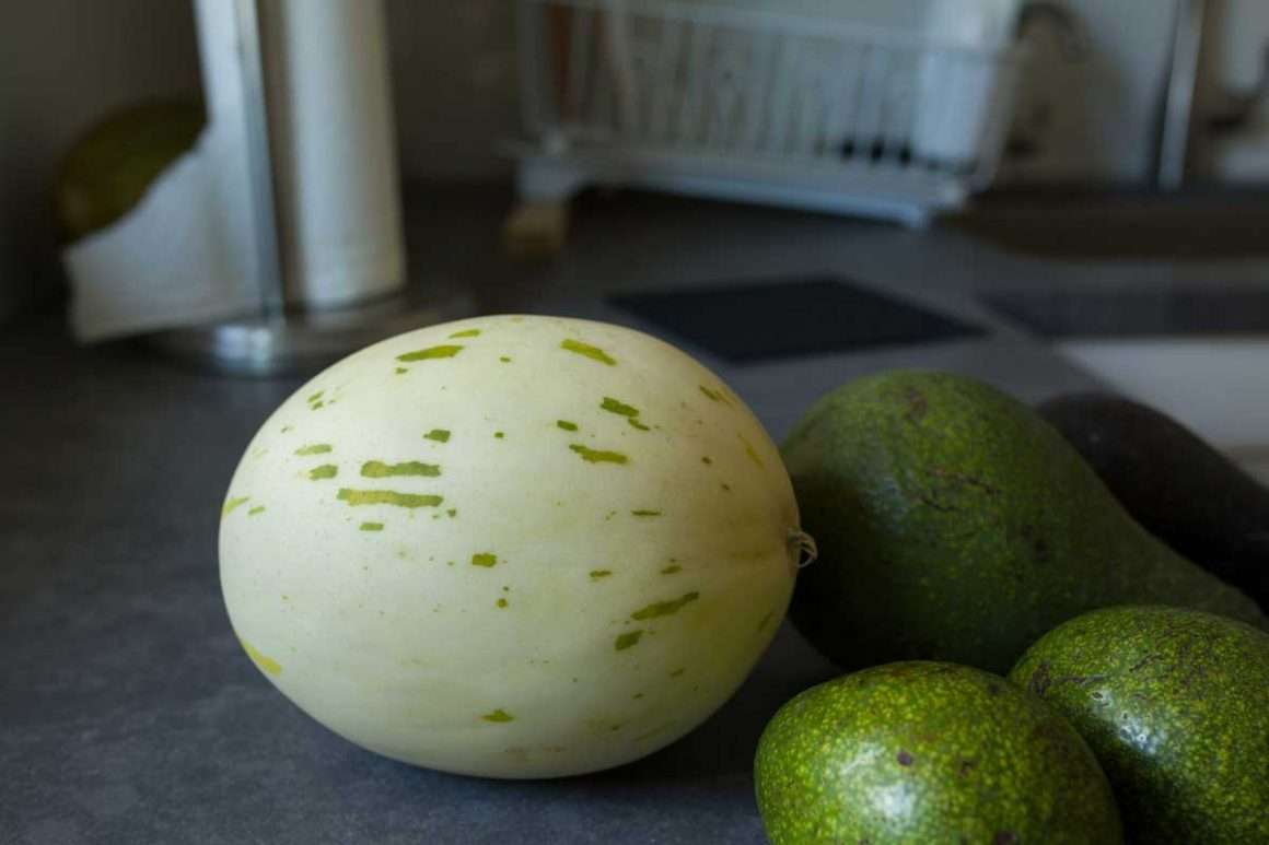 15 Unique Types of Melons! Sweet vs Bitter and Photos