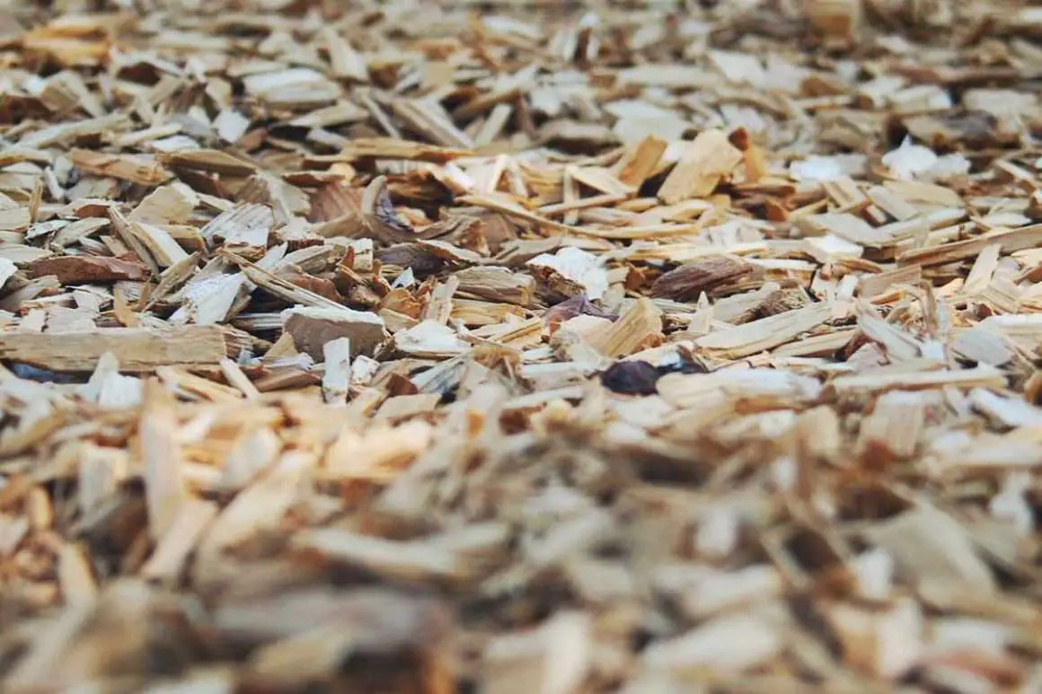 Cedar-Mulch | Environment Buddy