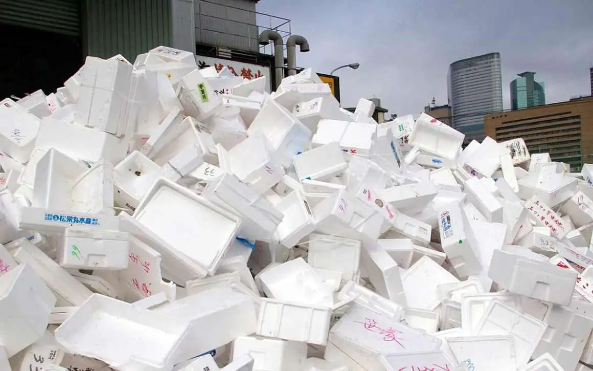 styrofoam-waste | Environment Buddy